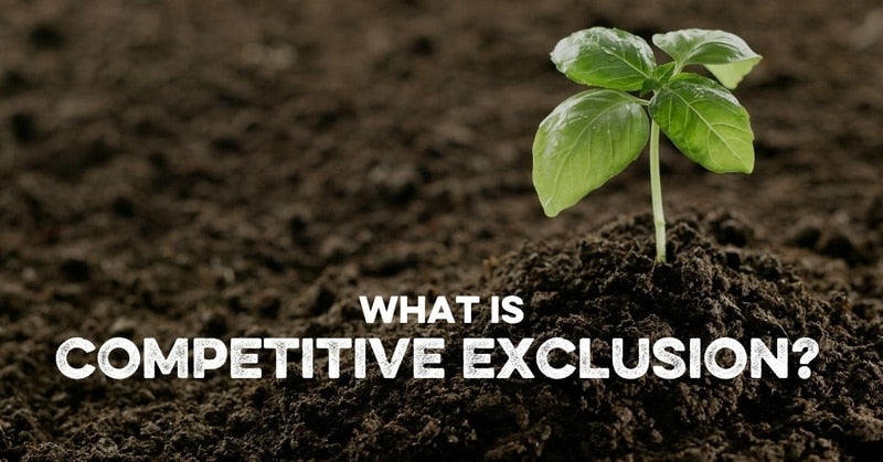 What is competitive exclusion? - Southland Organics