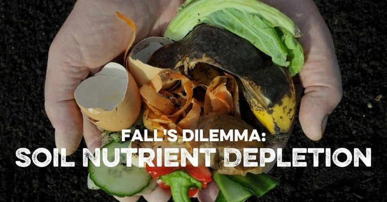 Soil Nutrient Depletion: Fall's Dilemma - Southland Organics