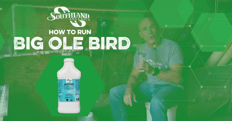 How to Run Big Ole Bird Poultry Probiotic - Southland Organics