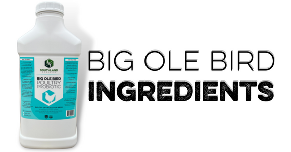 Big ole Bird Ingredients | Poultry Probiotic - Southland Organics