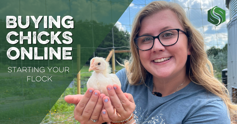 What we Were Looking For