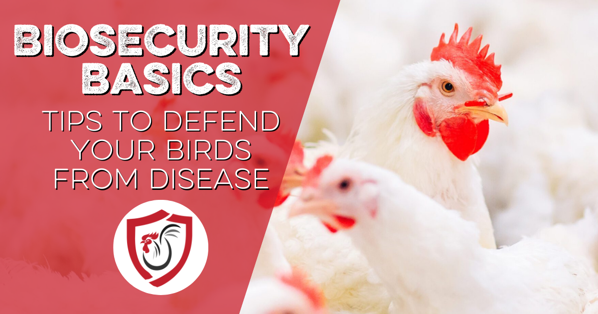 Poultry Farm Biosecurity Basics - Southland Organics