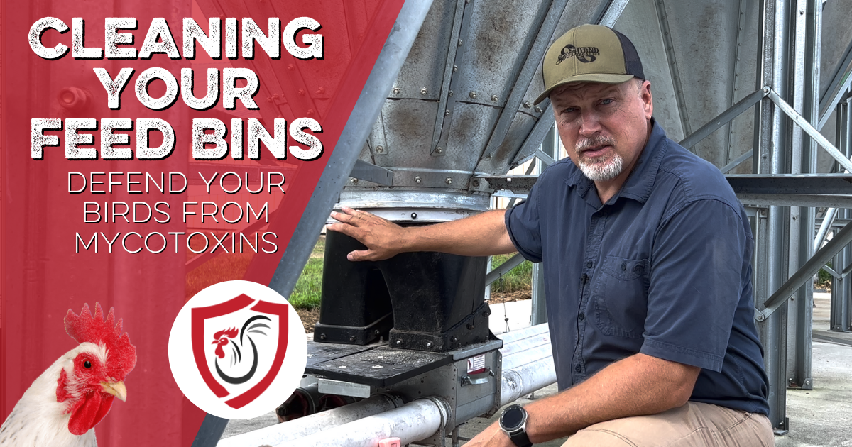 Cleaning Feed Bins: How and Why - Southland Organics