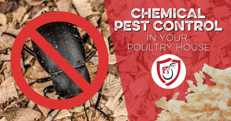 Chemical Pest Control in Poultry Houses - Southland Organics
