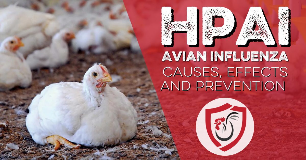 Highly Pathogenic Avian Influenza - Southland Organics