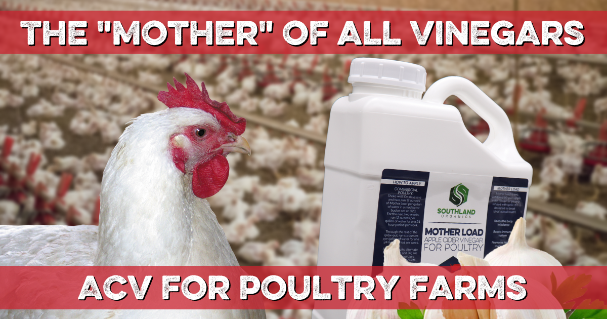 Mother Load ACV: The "Mother" of all Apple Cider Vinegar for Poultry F ...