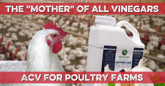 Mother Load ACV: The "Mother" of all Apple Cider Vinegar for Poultry F ...