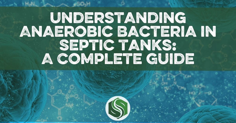Anaerobic Bacteria in Septic Tanks: Maximizing the Benefits of PORT