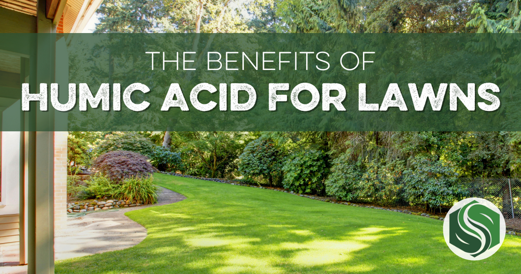The Benefits of Humic Acid for Lawns - Southland Organics