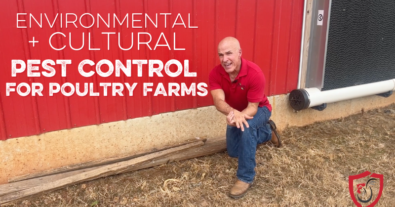 Cultural and Environmental Pest Control in Poultry Farms - Southland ...