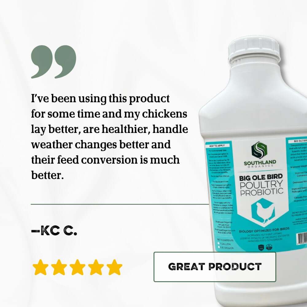 Big Ole Bird | Probiotics for Poultry from $ 43.00
